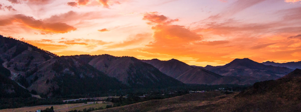 Index of /wp-content/uploads/2022/01